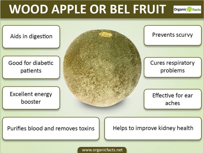 Wood Apple Juice – Chettinad Cookbook – Learn and Serve